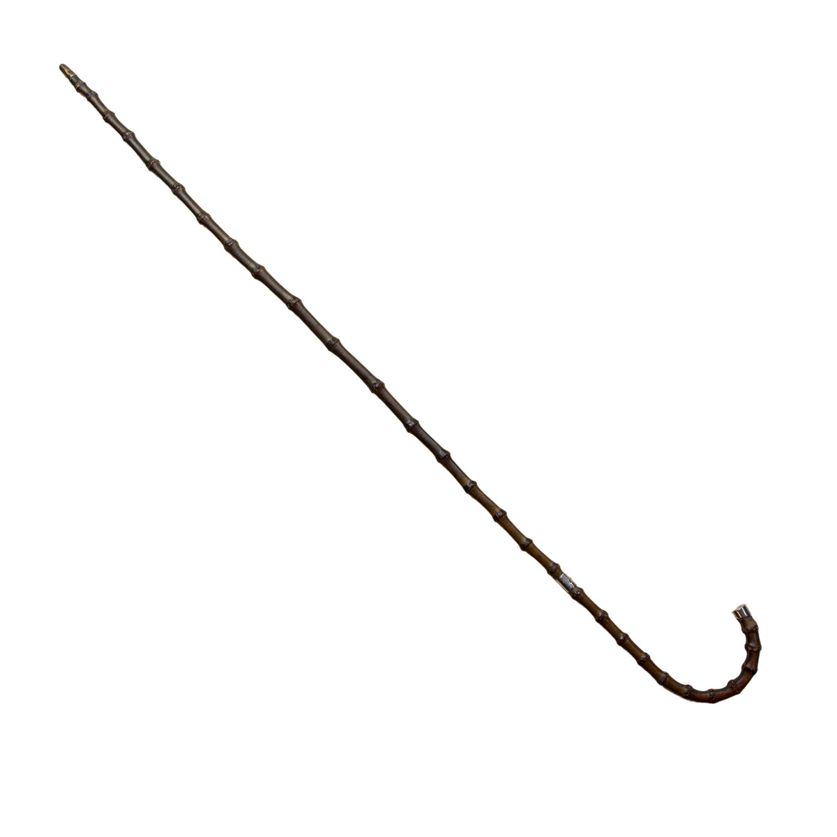 Whangee Headmasters Cane – Sian Hoffman's The Model Traitor