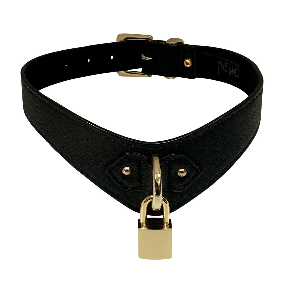 Leather V Collar with Locket – Sian Hoffman's The Model Traitor