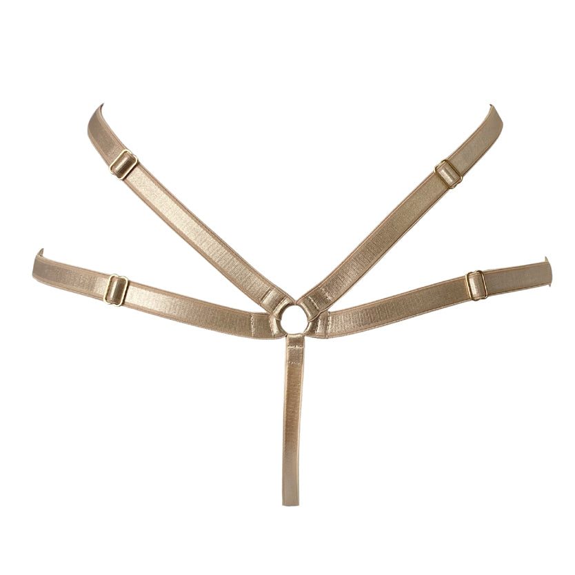 Lucent Rose Harness Thong – Sian Hoffman's The Model Traitor